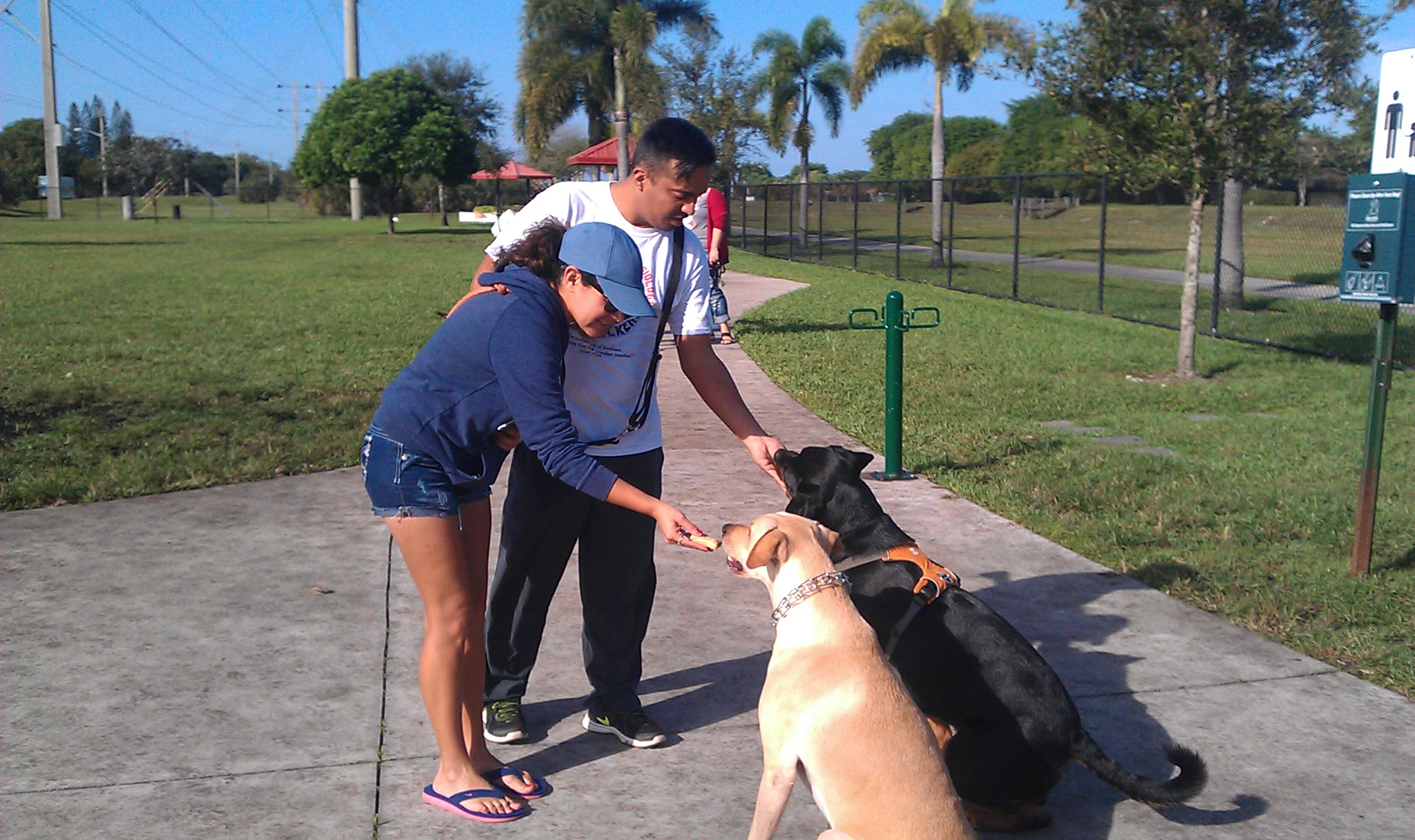 When Good Goes Bad - New Beginnings Dog Training LLC